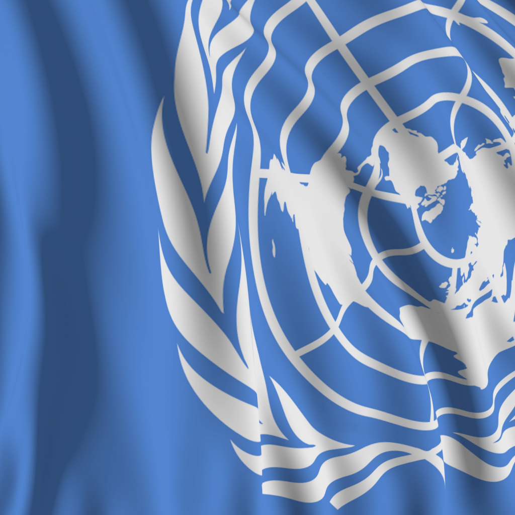 SurrogacyUK responds to UN inquiry on Surrogacy and Violence Against ...